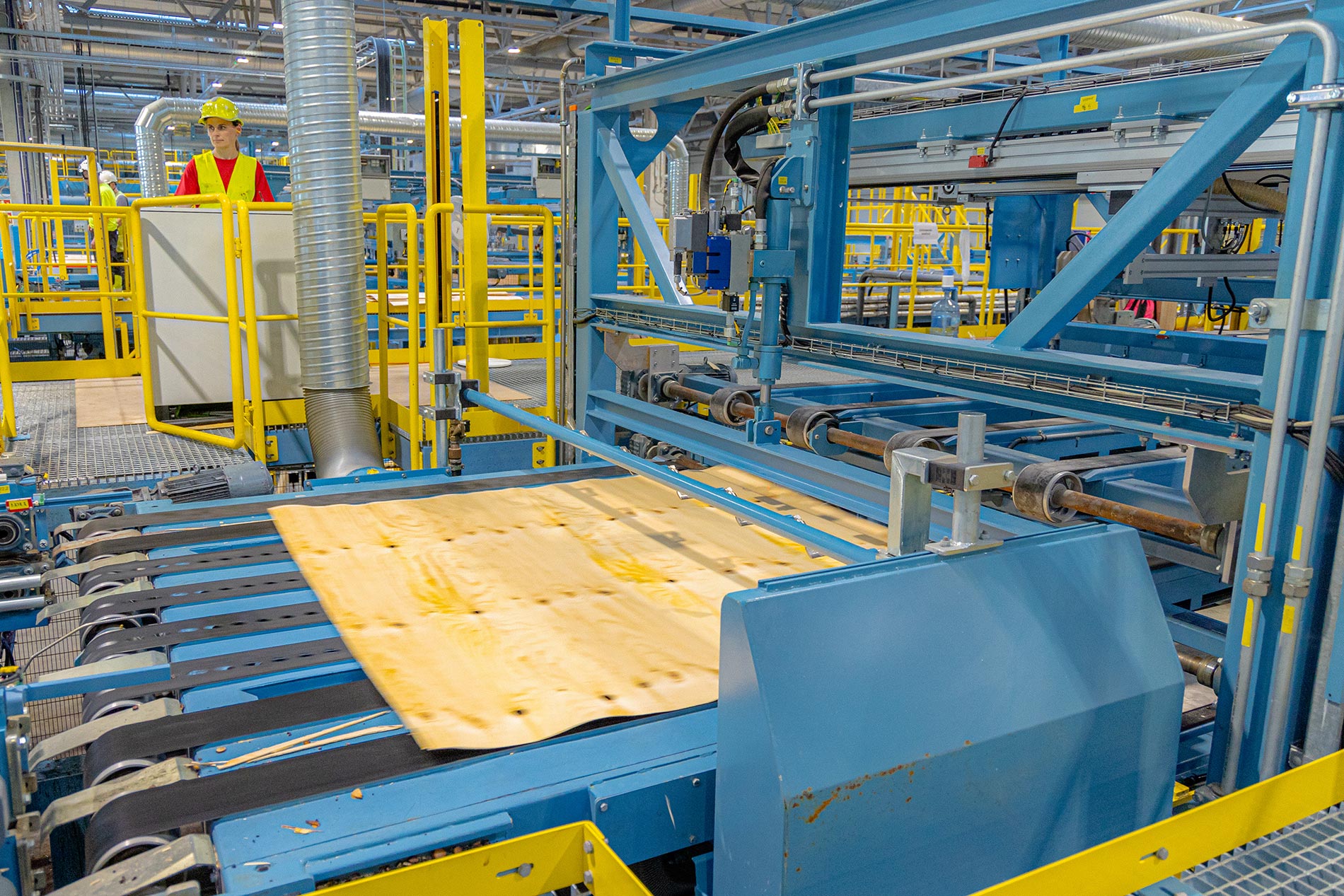 LVL production process - VMG Lignum