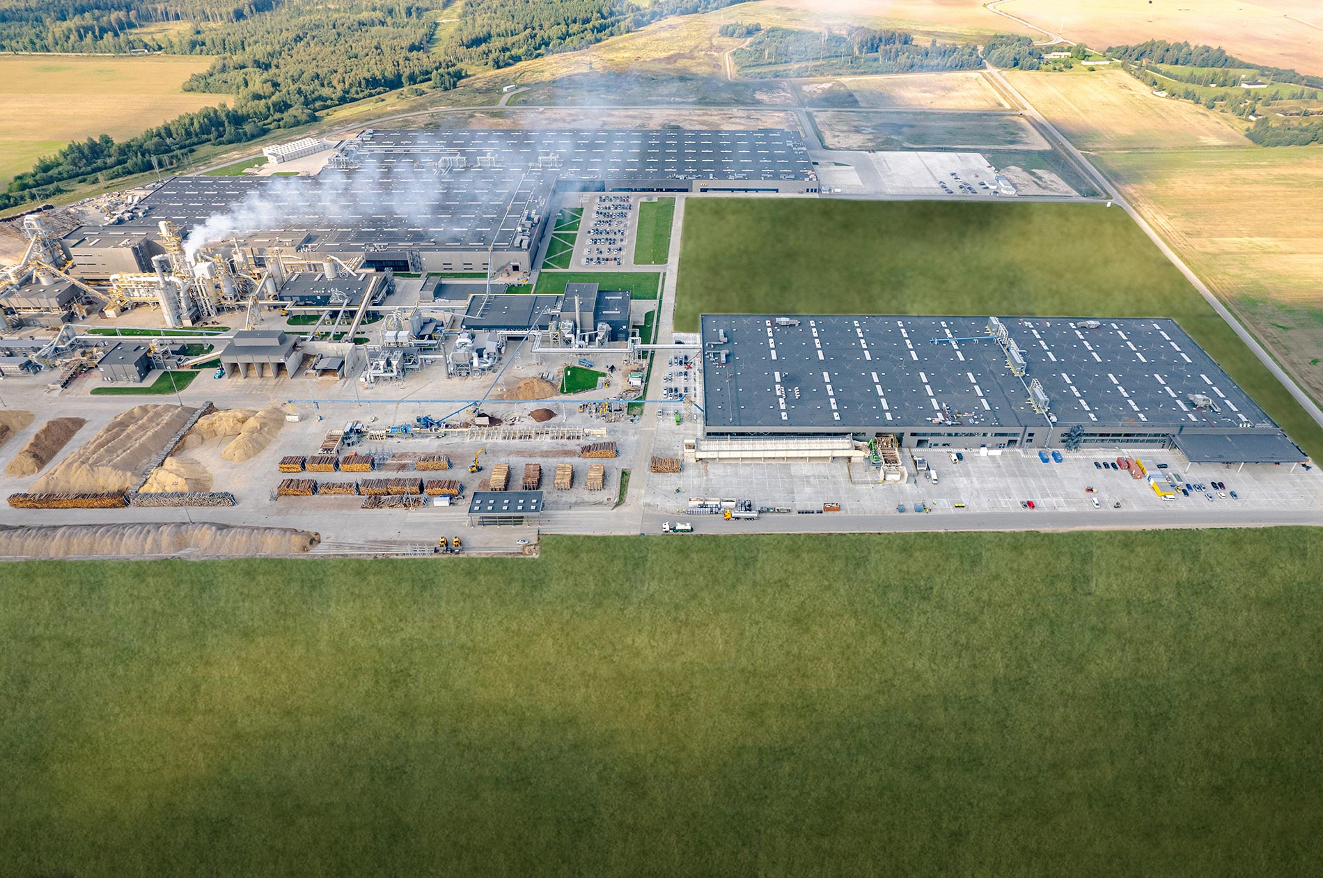 LVL production process - VMG Lignum